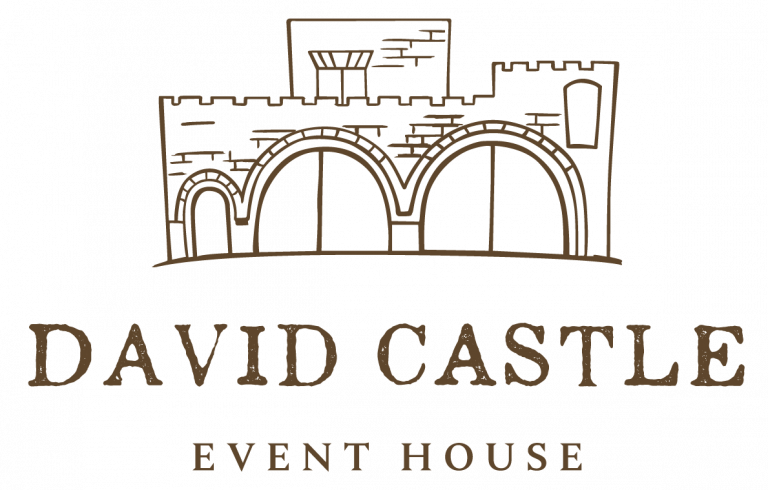 DAVID CASTLE - davidcastle