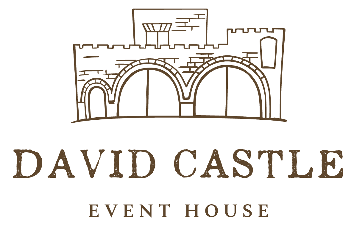 DAVID CASTLE - davidcastle