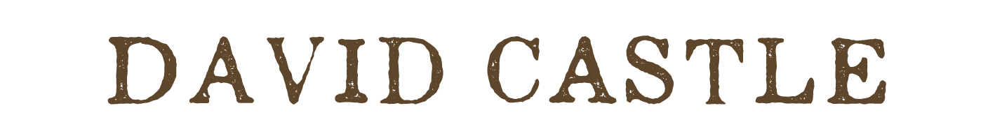 דף הבית - davidcastle