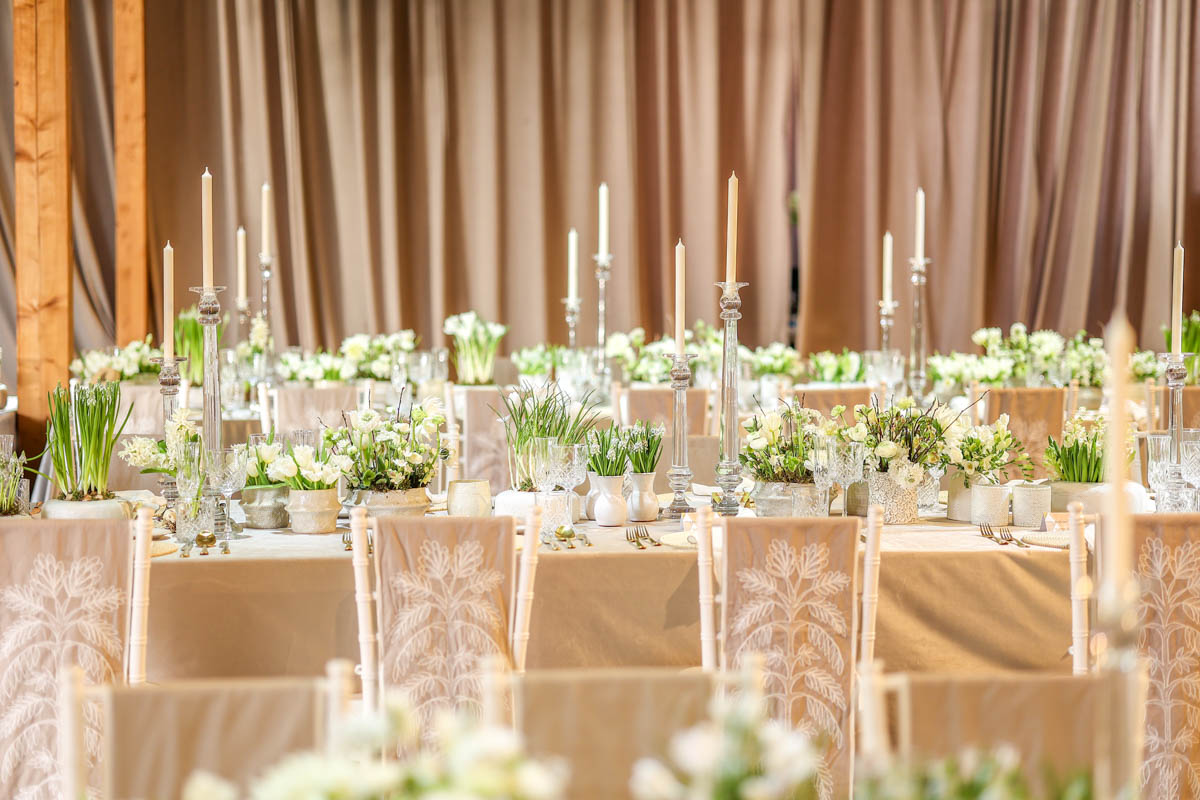 DAVID CASTLE - davidcastle